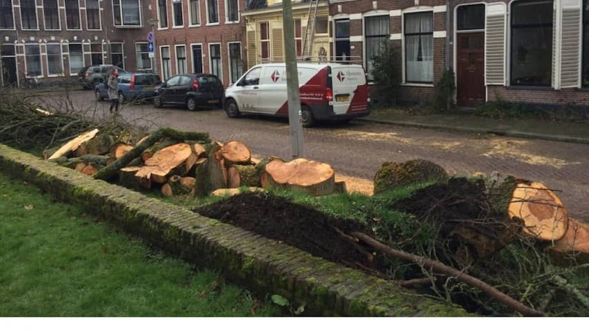 Veel omgewaaide bomen in regio Groningen door storm Ciara | Groningen ...