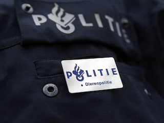 woudenberg | NU - Het laatste nieuws het eerst op NU.nl