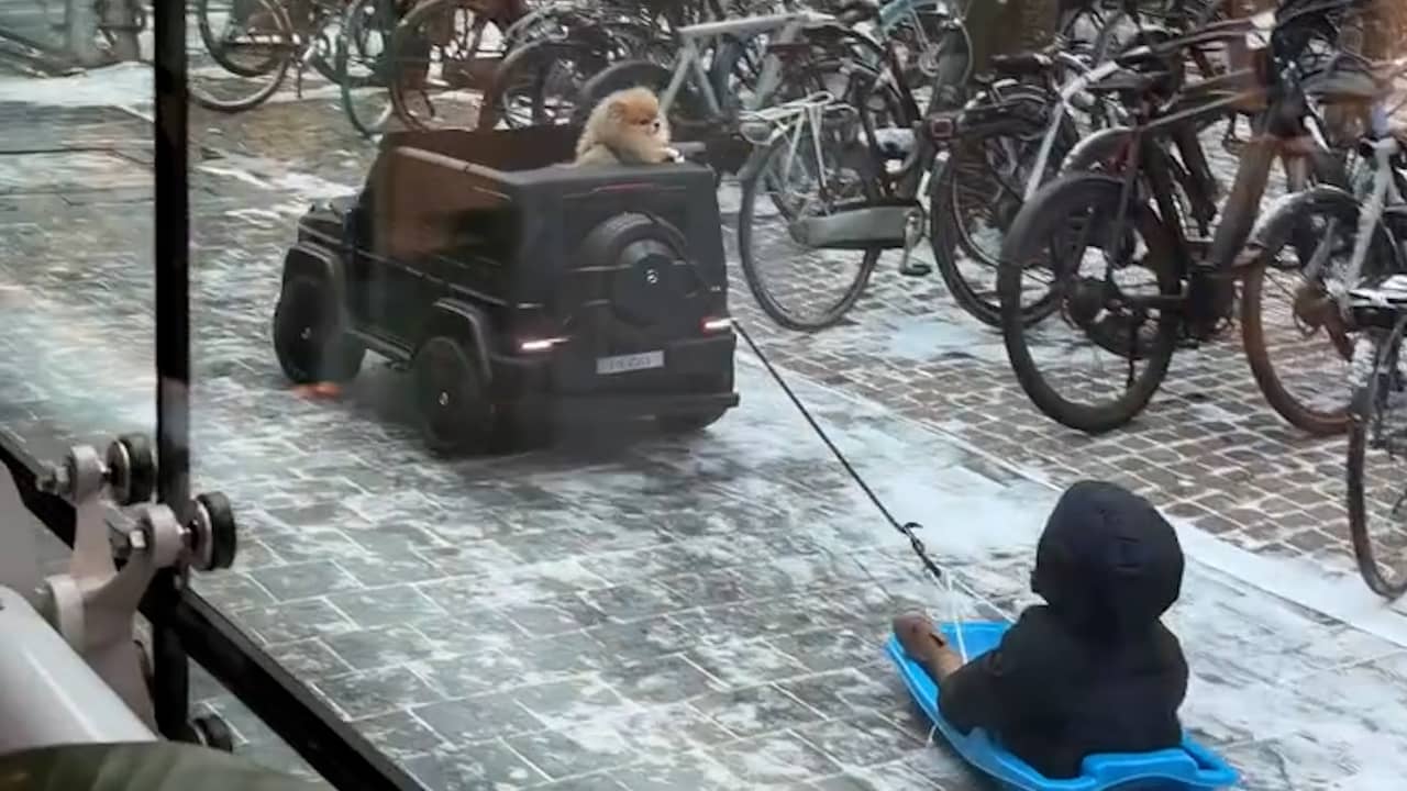 Bas Smit filmt hoe kinderauto slee met jongetje door Amsterdam trekt ...