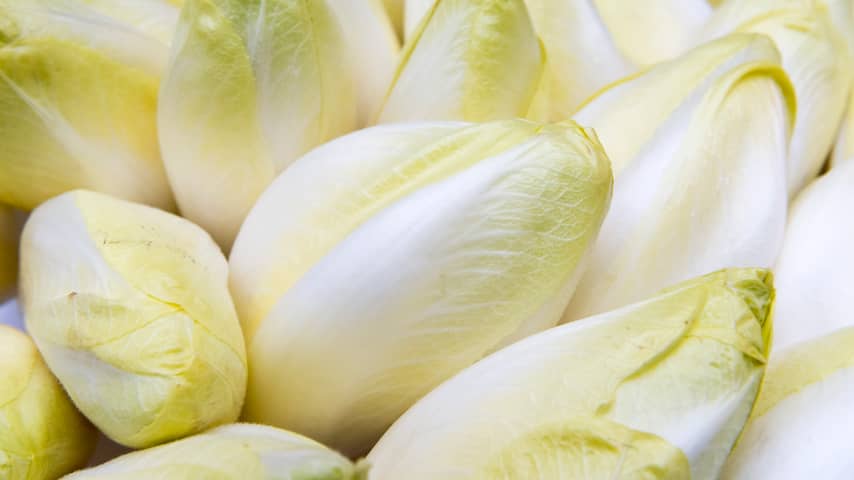 Witlof helpt tegen spierkramp door maagzuurremmers | Gezondheid | NU.nl