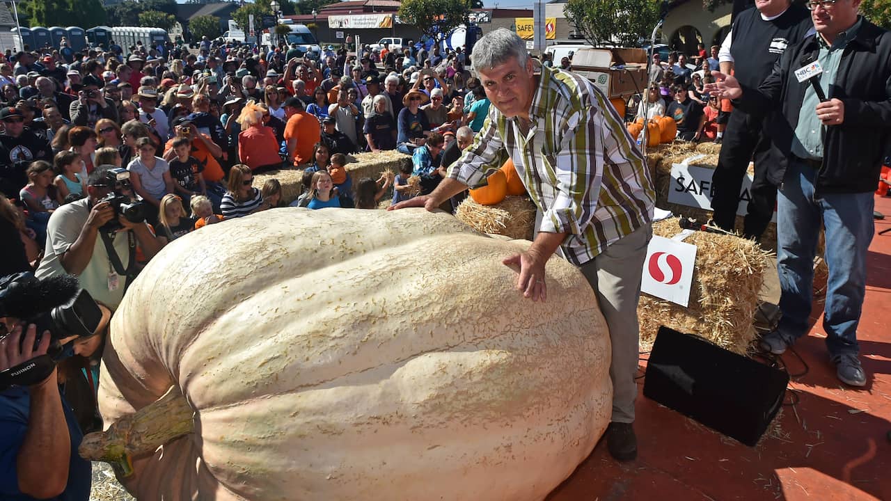 Pompoen van 890 kilo wint WK grootste pompoen | Opmerkelijk | NU.nl