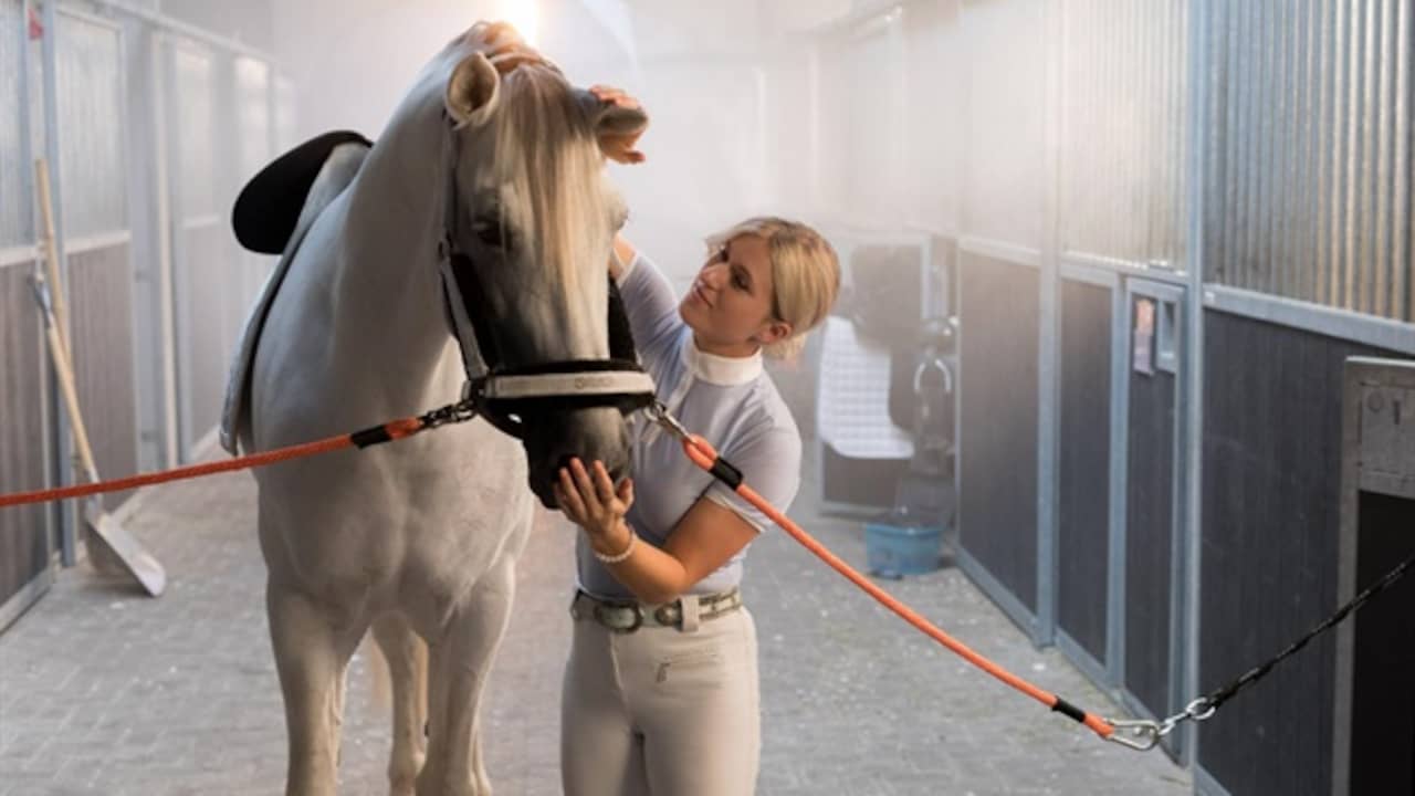 Britt Dekker: 'Mijn paard George heeft mij gered' | Achterklap | NU.nl