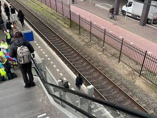 Zaandam | NU - Het laatste nieuws het eerst op NU.nl