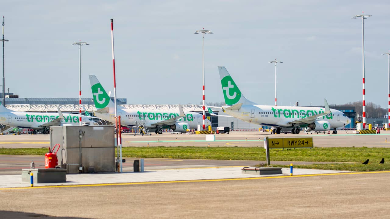 Transavia zette stagiairs in als cabinepersoneel | Economie | NU.nl