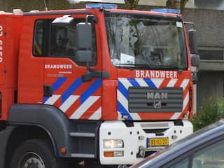 bavel | NU - Het laatste nieuws het eerst op NU.nl
