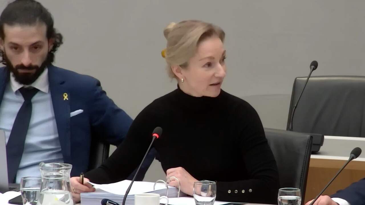 BBB'er Helder stapt op: 'Had vanaf dag één meningsverschillen met Van ...