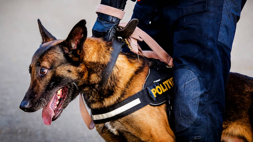 Politie zet honden in om vechtpartij in Goes te stoppen, twee agenten ...