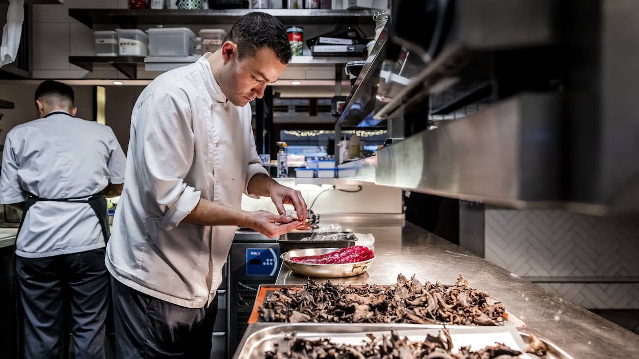 Horeca verspilt minder voedsel om kosten te drukken, vooral hotels zijn ...