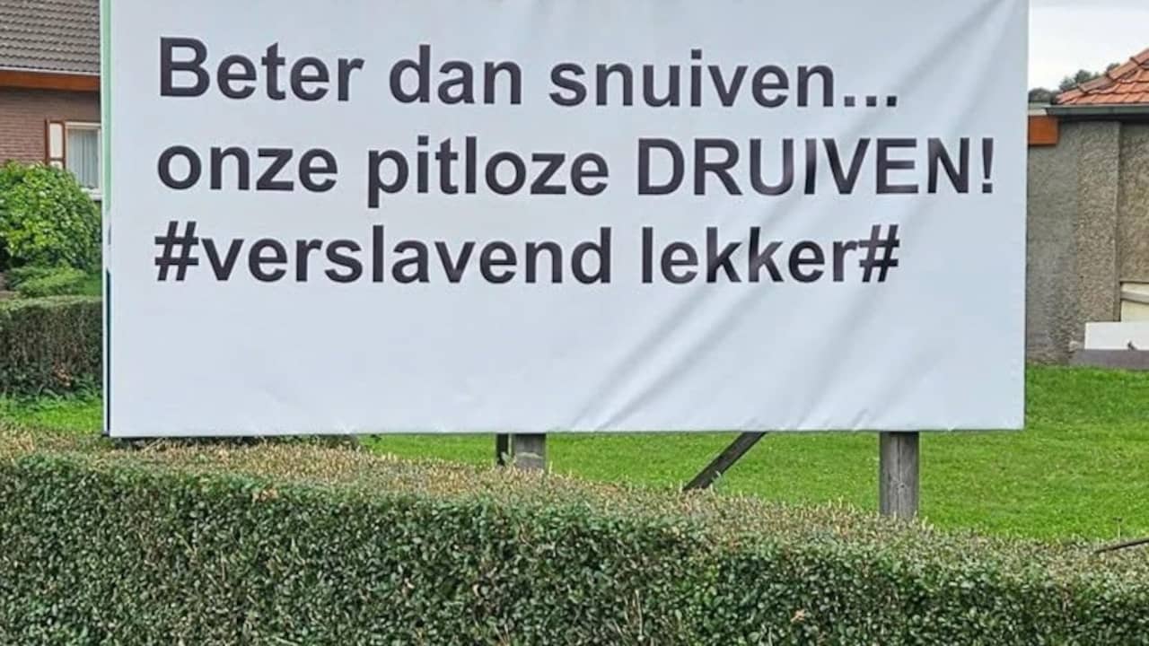 Boerderijshop heeft slechtste slogan: 'Beter dan snuiven, onze pitloze ...