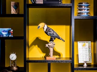 Van der Valk | NU - Het laatste nieuws het eerst op NU.nl