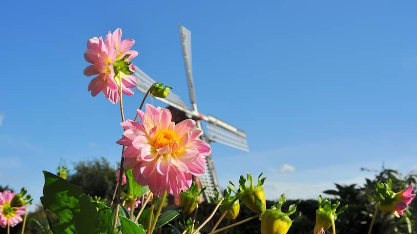 Recordaantal zomerse dagen na bereiken temperatuur van 25 graden in De ...