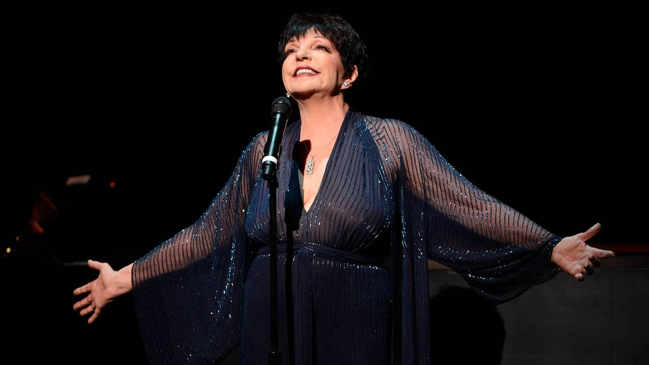 Liza Minnelli werkt aan memoires die in 2026 moeten verschijnen | Boek ...