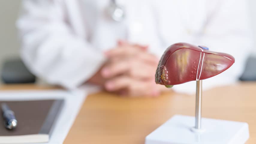 Een lever kan veel langer voor transplantatie bewaard worden dan ...