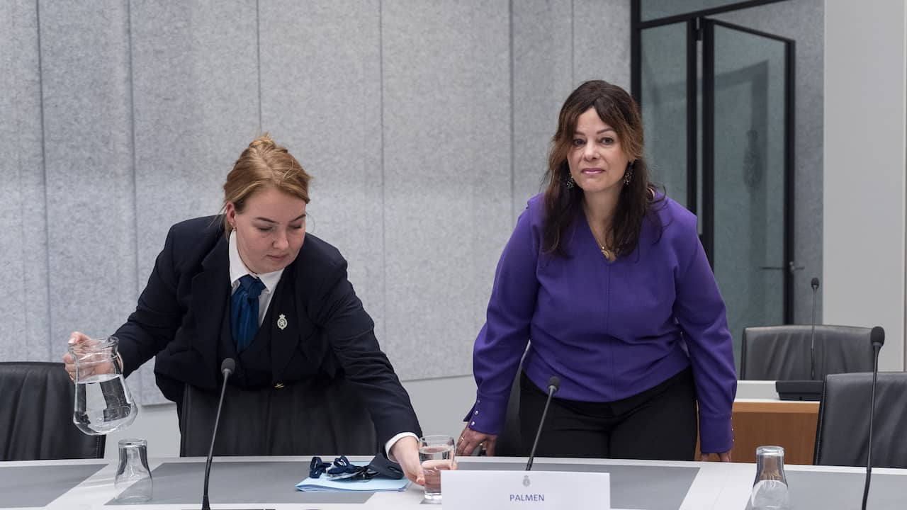 Klokkenluider Palmen krijgt als staatssecretaris zware klus rond ...