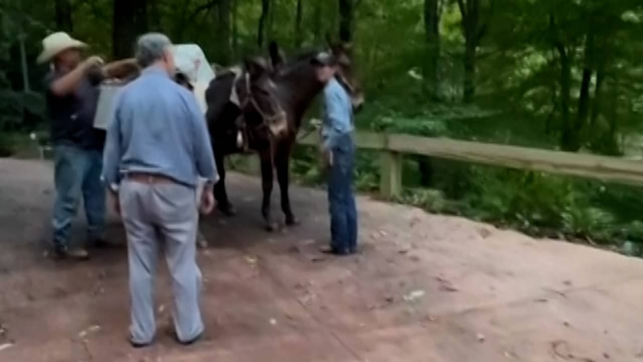 Amerikaan krijgt hulpgoederen bezorgd met muildieren na orkaan Helene ...