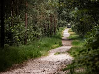 Utrecht | NU - Het laatste nieuws het eerst op NU.nl