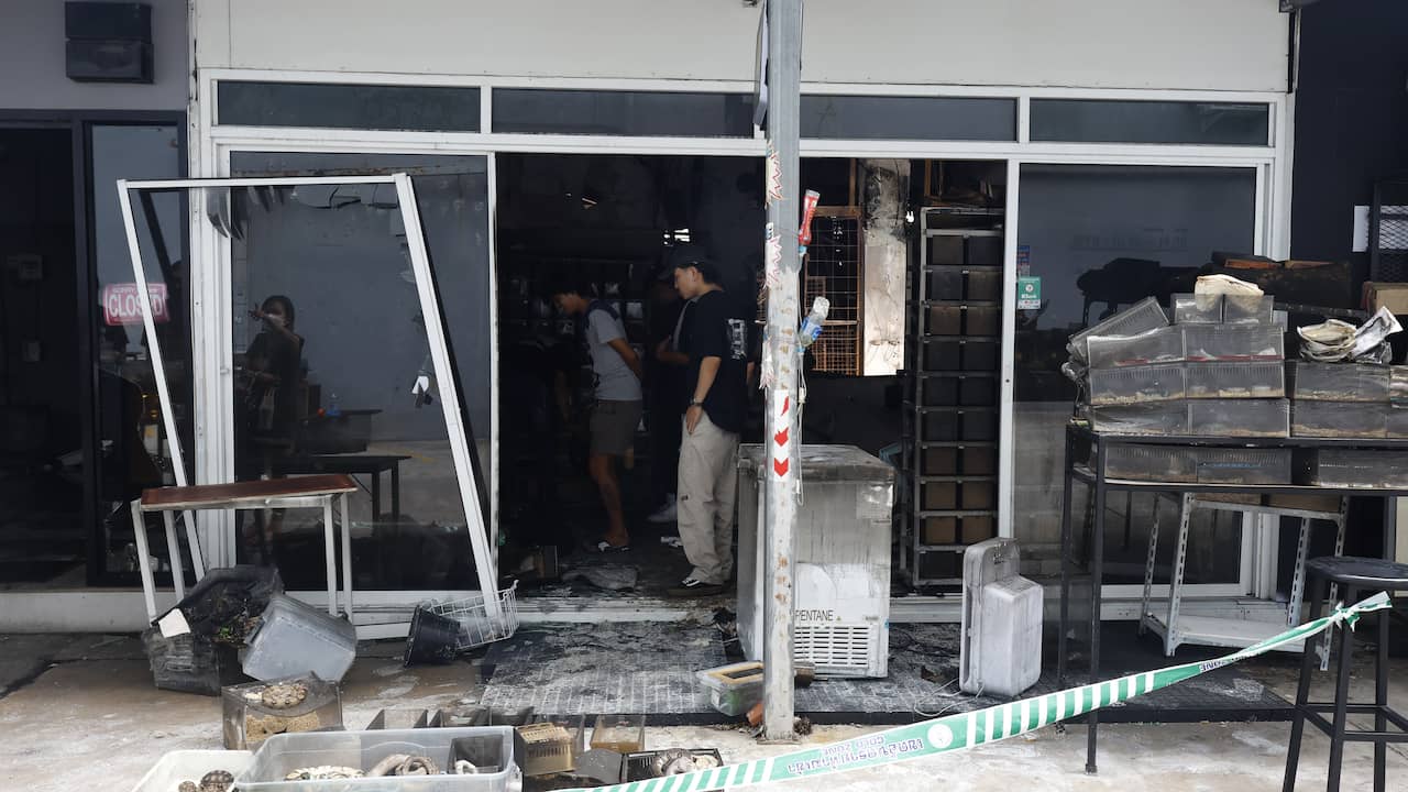 Brand legt dierenmarkt Bangkok in de as: zo'n duizend dieren levend ...