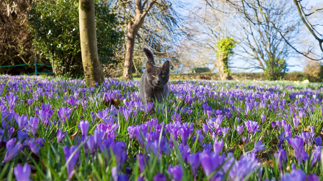 Nieuw warmterecord op eerste officiële lentedag: 15,3 graden in De Bilt ...