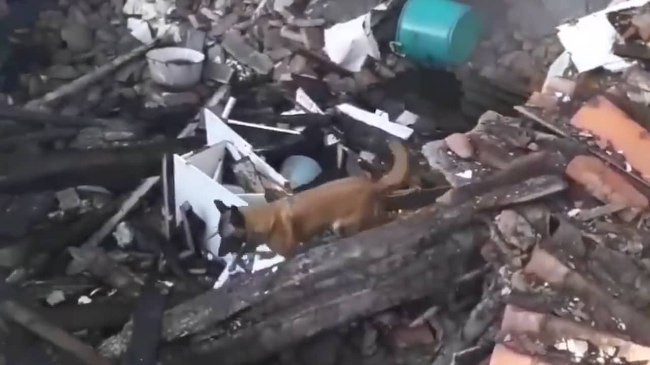 Speurhonden doorzoeken puin na gasexplosie in Spanje | NU.nl