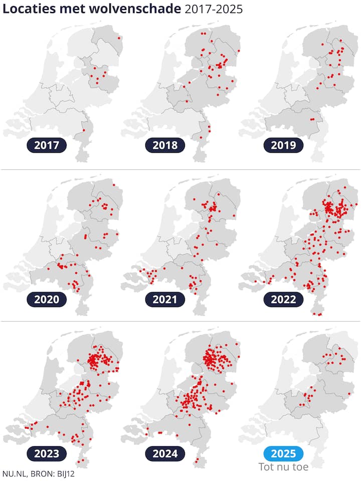 Kamer worstelt in verhit debat met de vraag hoe Nederland mét de wolf kan leven | Politiek | NU.nl