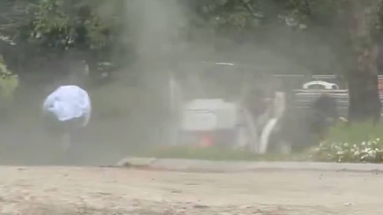 Toerist (18) komt om het leven door op hol geslagen paard in Central ...