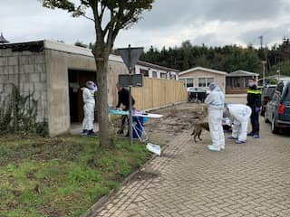 Steenbergen | NU - Het laatste nieuws het eerst op NU.nl