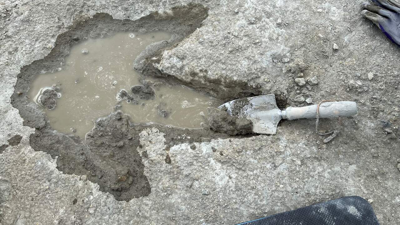 Britten vinden talloze voetafdrukken van dino's, langste spoor is 150 ...