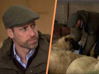 Prins William | NU - Het laatste nieuws het eerst op NU.nl
