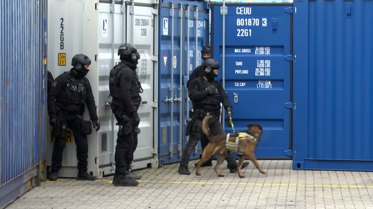 Zo spoort de douane drugs op in de haven van Rotterdam | NU.nl