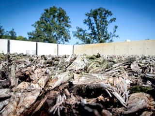 Biomassa | NU - Het laatste nieuws het eerst op NU.nl