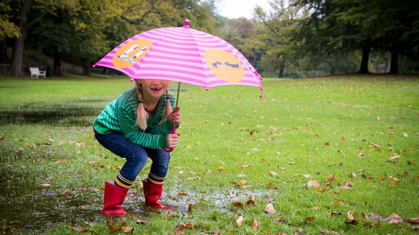 Weerbericht | Code geel vanwege dichte mist, later kans op regen en onweer | Weerbericht | NU.nl