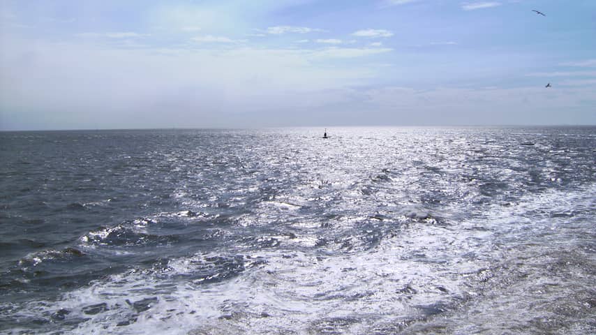 Nieuwe fuiken Waddenzee moeten beter beeld geven van visstand | Dieren ...