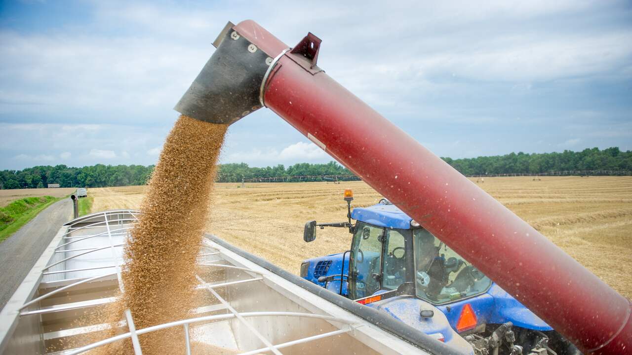 Ook Slowakije stopt import van Oekraïens graan | Economie | NU.nl