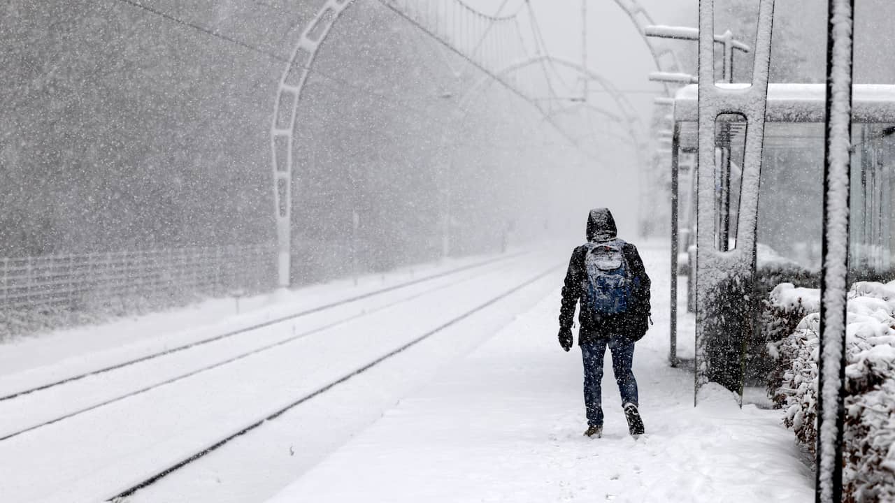 Teruglezen | Rijkswaterstaat vreest drukke avondspits, meerdere scholen ...