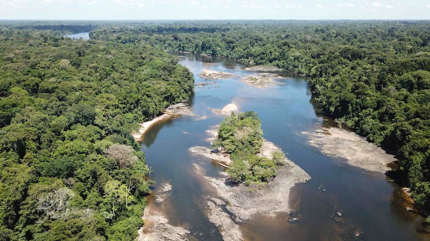 Pas ontdekte sidderaal is krachtigste levende elektriciteitsbron ...