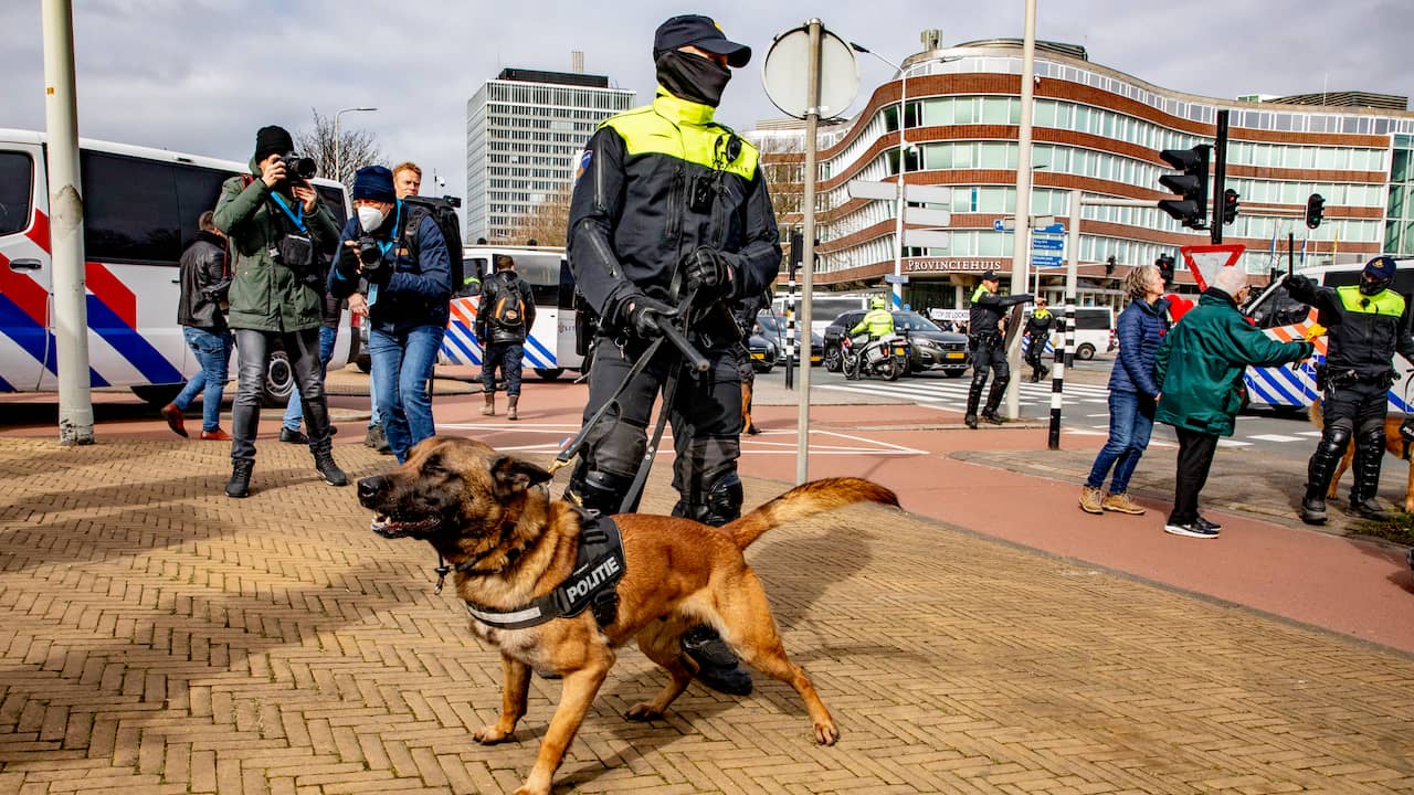 Politiehond die zich in Dalfsen tegen agenten keerde is overleden ...