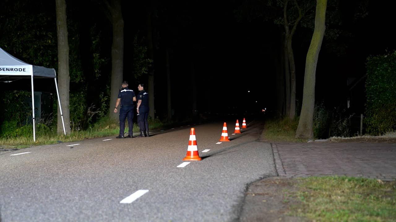 Vrouw die werd doodgereden in Schijndel liet hond uit, gevonden door ...