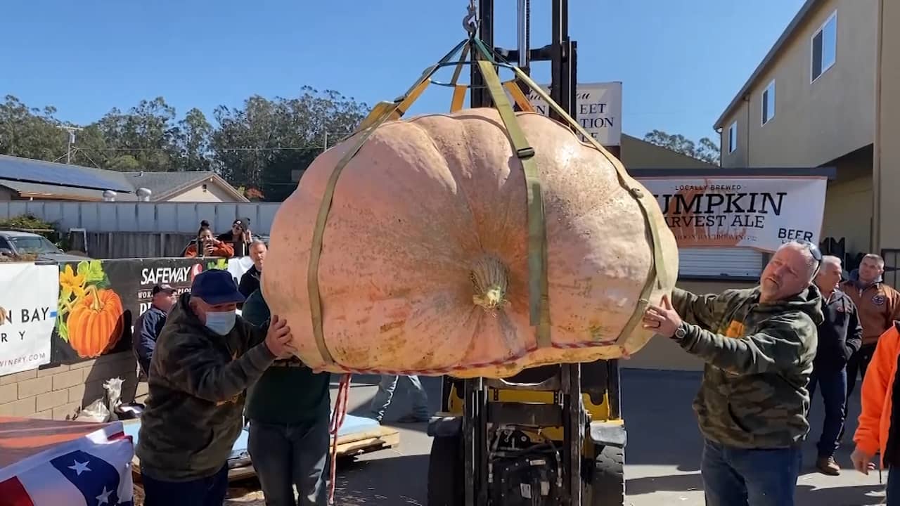 Amerikaan wint wedstrijd met enorme pompoen van 993 kilo | NU.nl