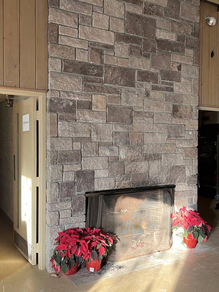 Amerikaanse man vast in schoorsteen tijdens poging zijn hond te redden ...