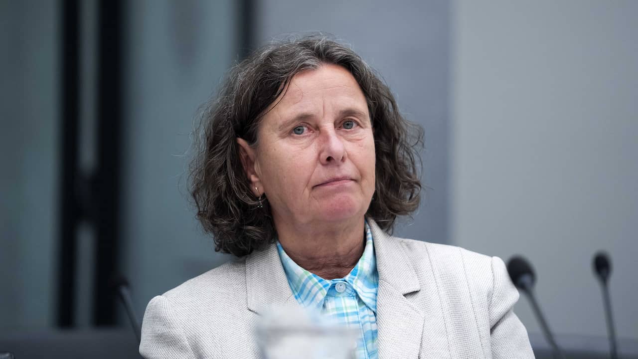 Omvolkingstheorie is ultrarechts en racistisch: 'Gevaar voor ...