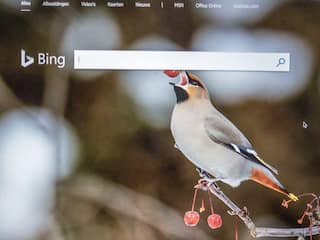 bing | NU - Het laatste nieuws het eerst op NU.nl