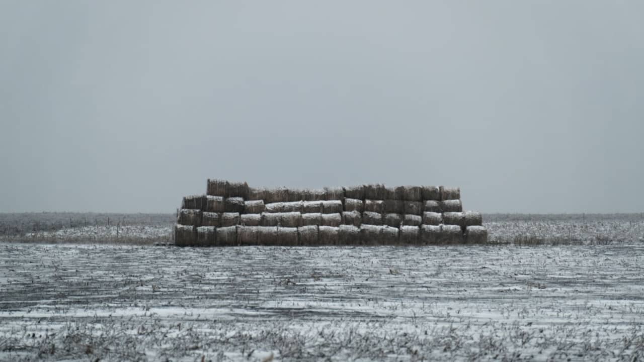 Oekraïne zet zich schrap voor koudegolf: mogelijk tot 30 graden onder nul | Oorlog in Oekraïne ...