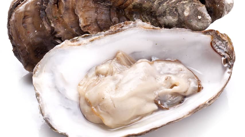 Oesterseizoen is gestart: Alles wat je moet weten als je oesters gaat ...