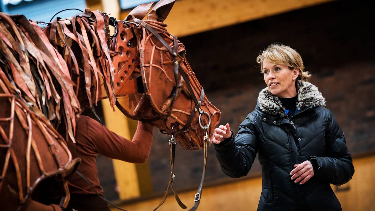 Dressuuricoon Anky van Grunsven breekt bekken bij val van paard: 'Nu ...