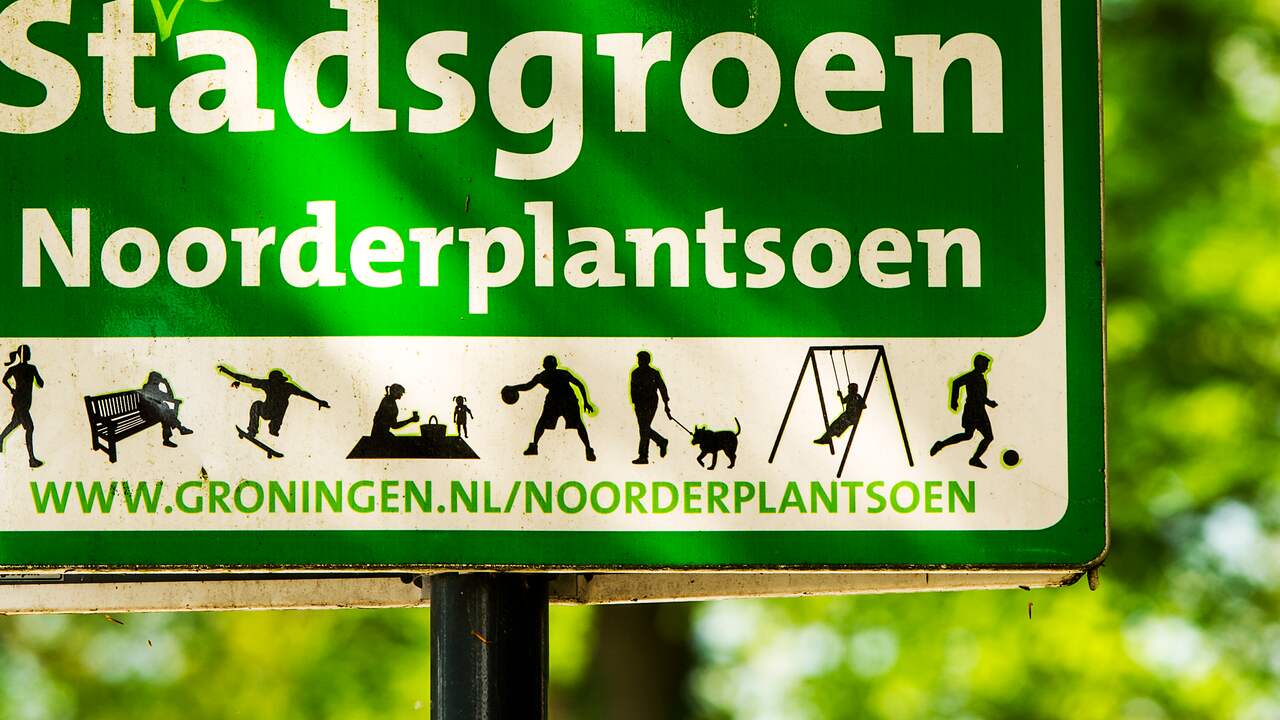 Noorderzon maakt eerste namen bekend voor hoofdpodium | Groningen | NU.nl