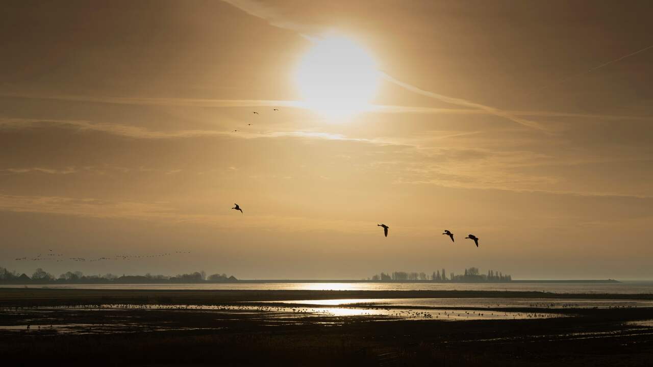 Vanavond en vrijdag winterse buien, maar in het weekend meer zon ...