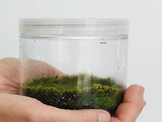 Dutch Design Week | NU - Het laatste nieuws het eerst op NU.nl