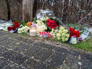 13-jarige verdachte doodsteken leeftijdsgenoot in Schiedam 90 dagen langer vast | Binnenland | NU.nl