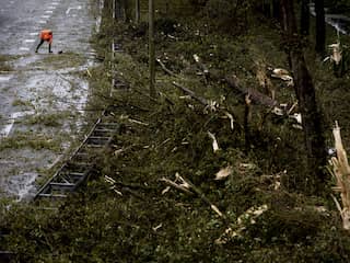 Storm Poly - NU.nl