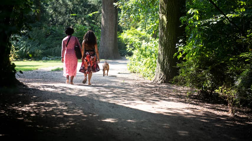Weekweerbericht | Eerste week van september is warm met af en toe een ...